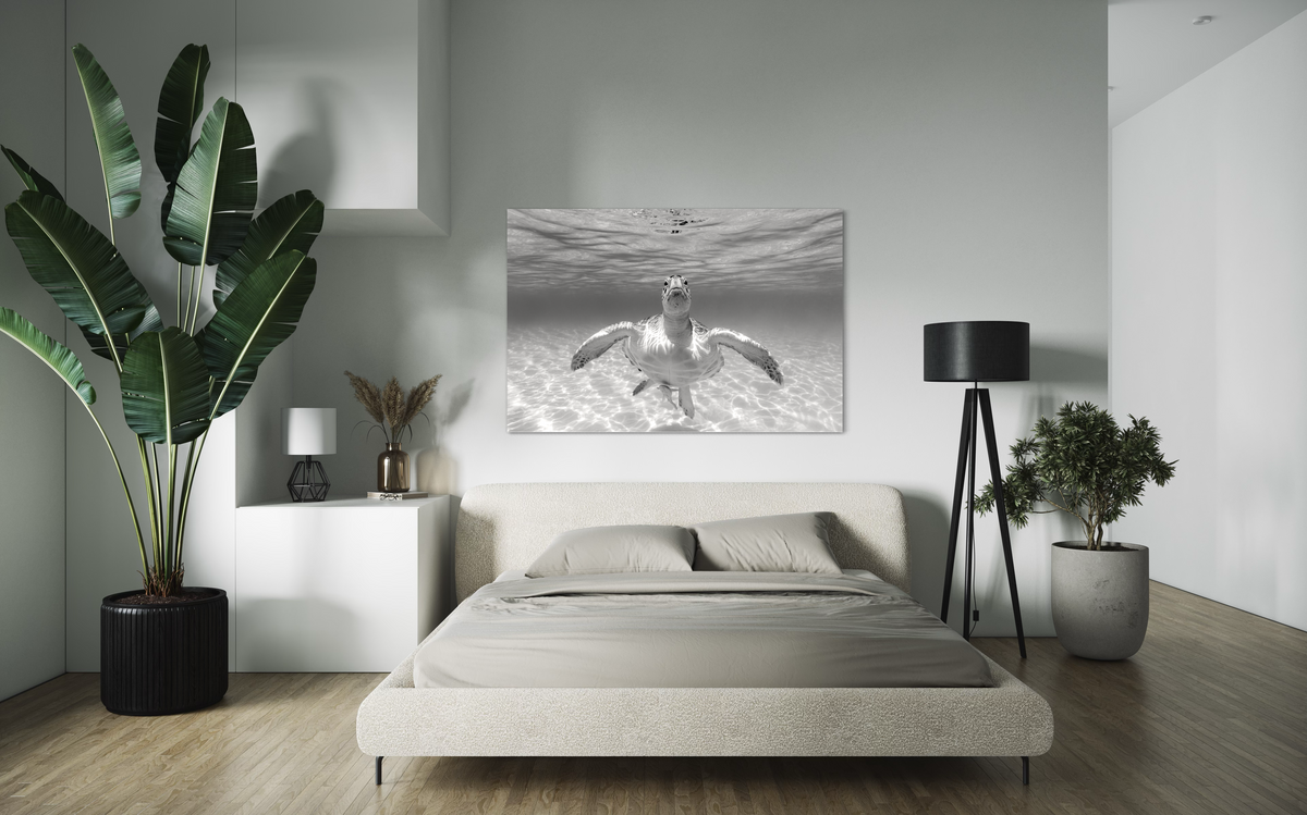 Hey Dude | Fine Art Underwater Photography | André Musgrove Fine Art