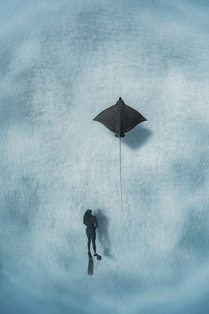 André Musgrove Underwater Photography