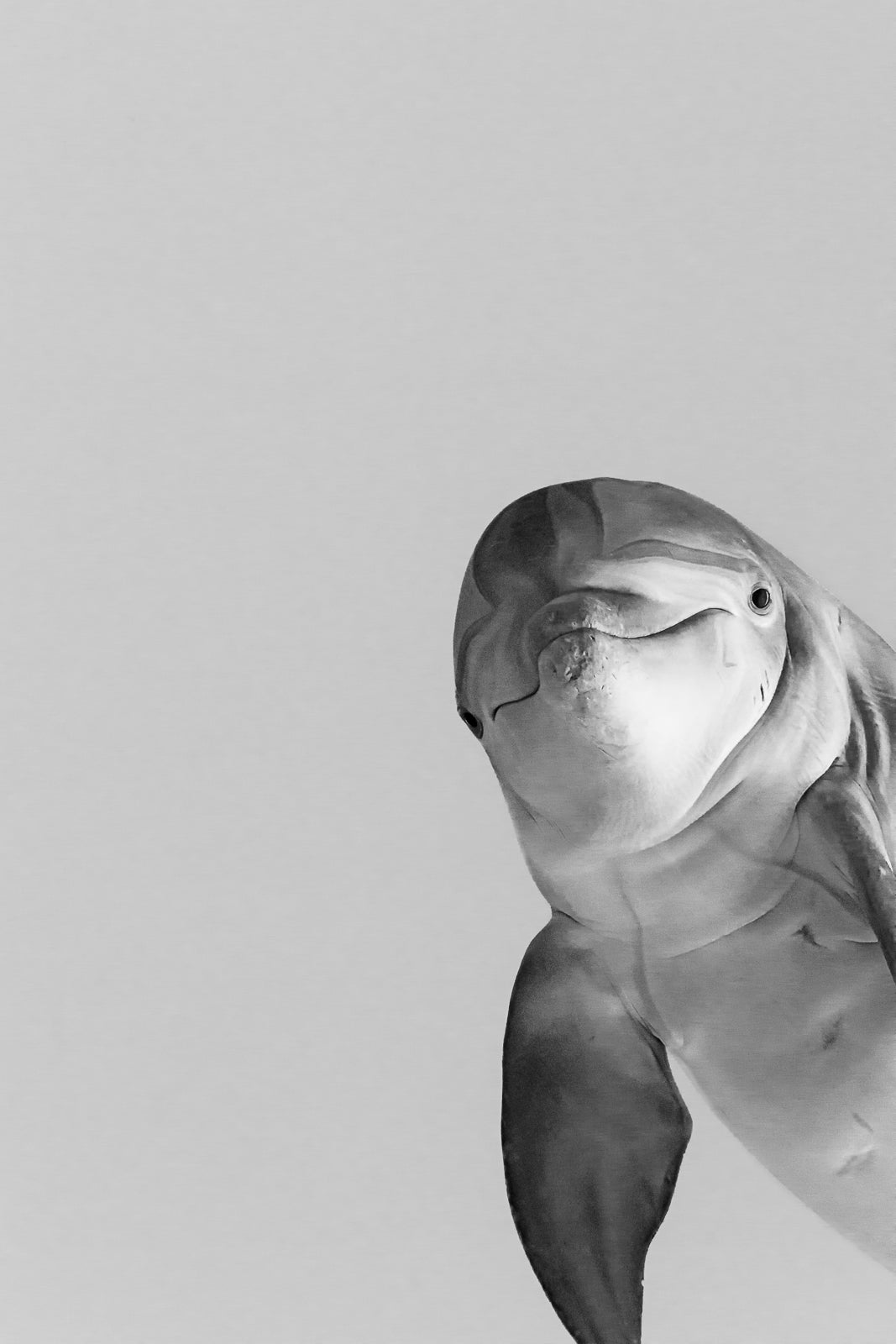 Marine World Collection | Limited Edition | Fine Art Underwater ...