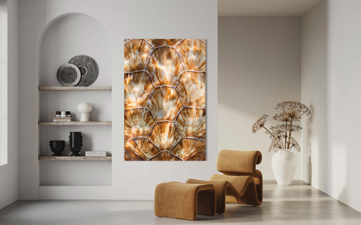 Armoured | Fine Art Underwater Photography | André Musgrove Underwater ...