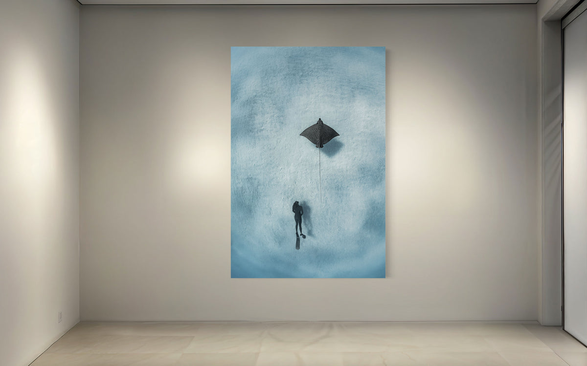 Trail We Blaze | Fine Art Underwater Photography | André Musgrove ...