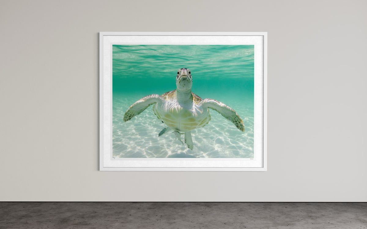 Hey Dude (Color) | Fine Art Underwater Photography | André Musgrove ...